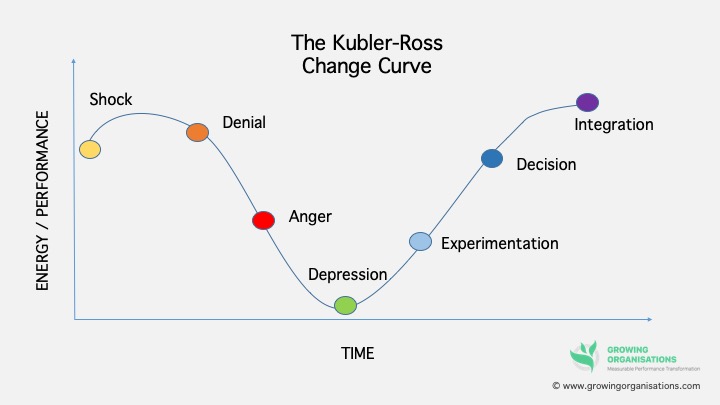 Where Are You On The Change Curve? - Growing Organisations Ltd